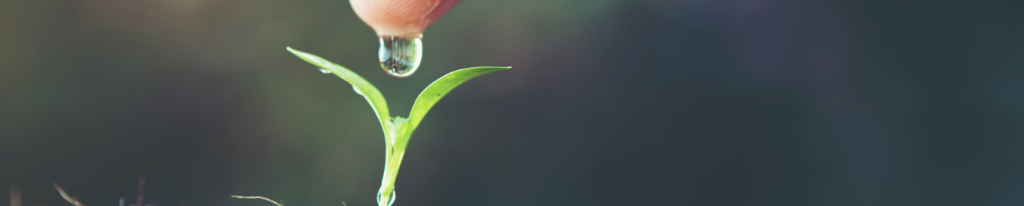 Extrait liquide du vermicompost – Vermicompost